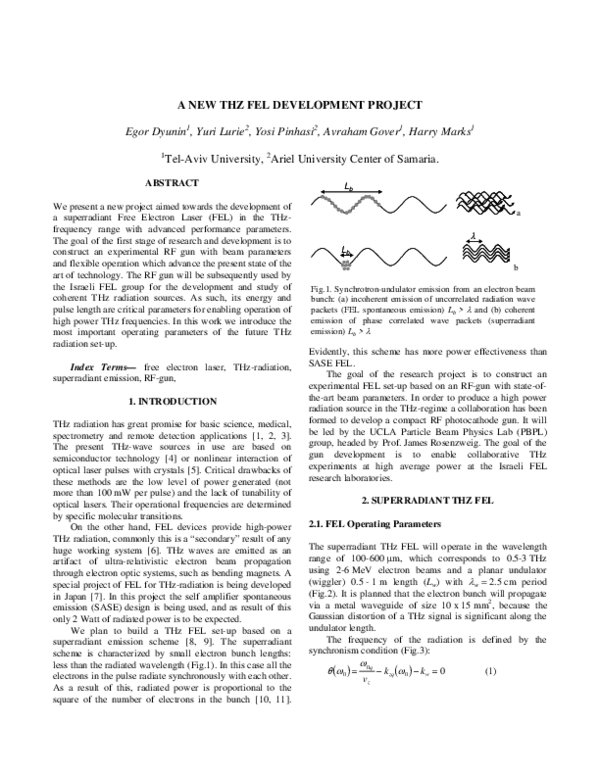 (PDF) A new THz FEL development project