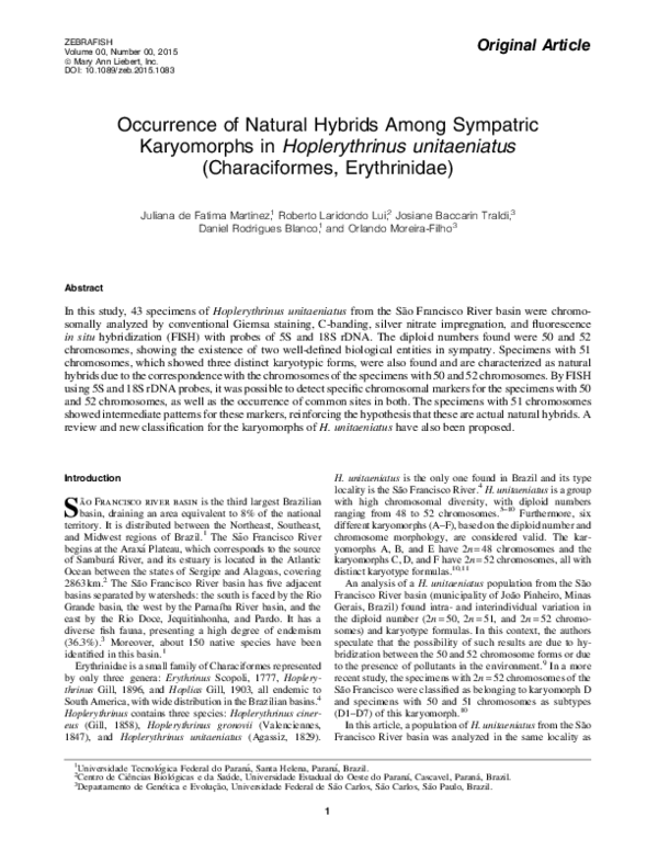 (PDF) Occurrence of Natural Hybrids Among Sympatric Karyomorphs in ...