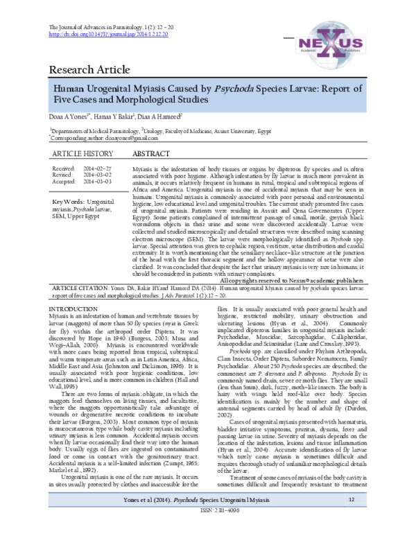 (PDF) Human Urogenital Myiasis Caused by Psychoda Species Larvae ...