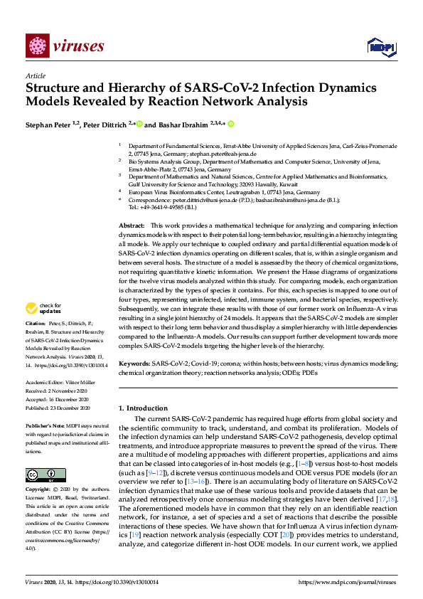 (PDF) Structure and Hierarchy of SARS-CoV-2 Infection Dynamics Models ...