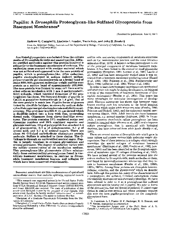 (PDF) Papilin: a Drosophila proteoglycan-like sulfated glycoprotein ...