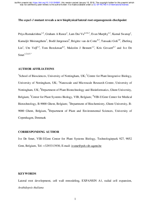 (PDF) The expa1-1 mutant reveals a new biophysical lateral root ...