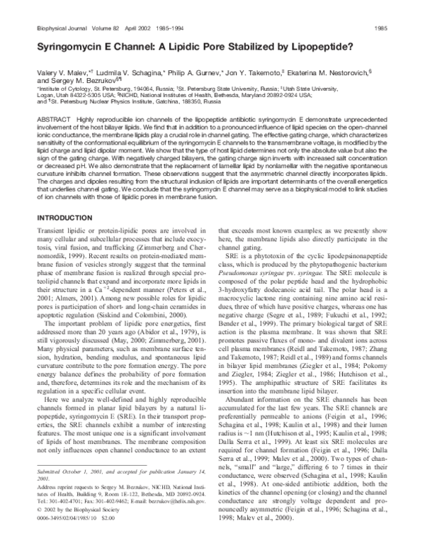 (PDF) Syringomycin E Channel: A Lipidic Pore Stabilized by Lipopeptide?