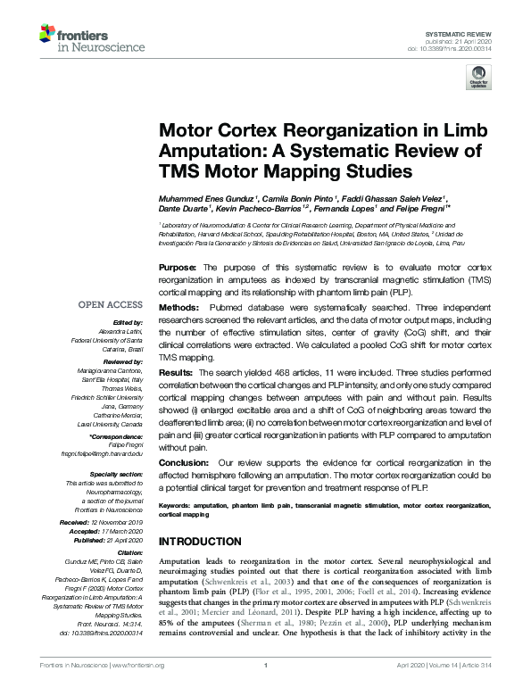 (PDF) Cortex Reorganization and Phantom Limb Pain