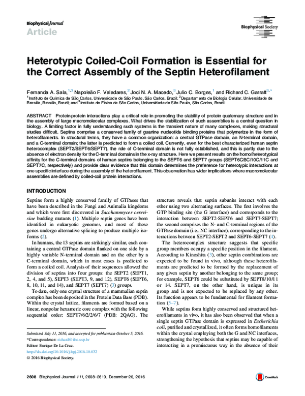 (PDF) Heterotypic Coiled-Coil Formation is Essential for the Correct ...