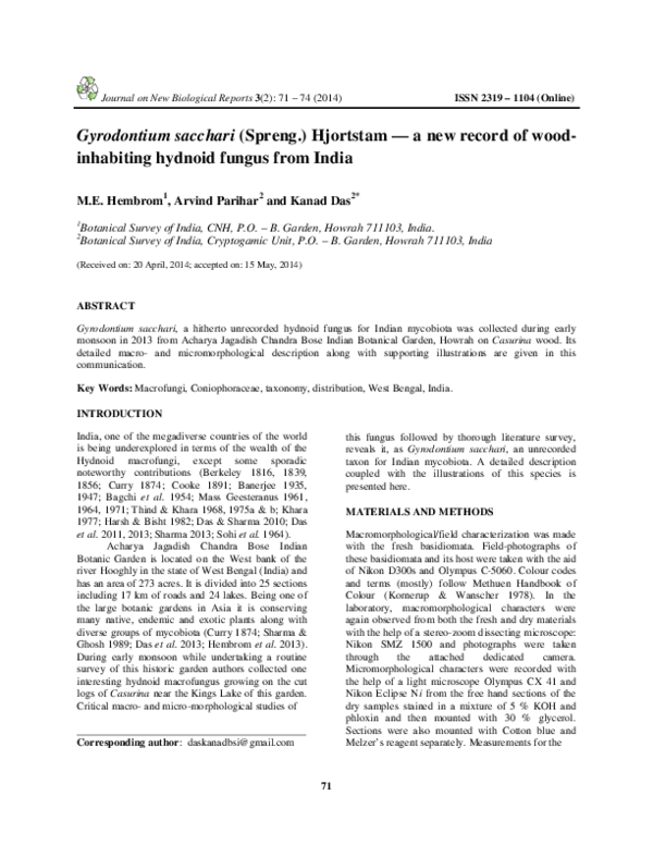 (PDF) Gyrodontium sacchari (Spreng.) Hjortstam — a new record of wood ...