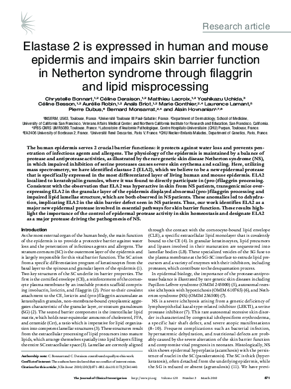 (PDF) Elastase 2 is expressed in human and mouse epidermis and impairs ...