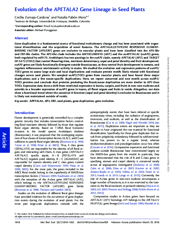 (PDF) Evolution of the Apetala2 Gene Lineage in Seed Plants
