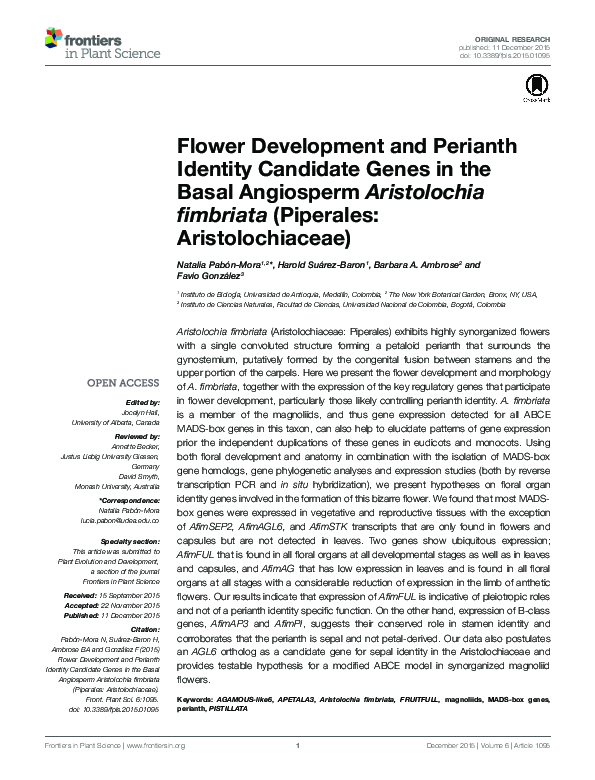 (PDF) Flower Development and Perianth Identity Candidate Genes in the Basal Angiosperm ...