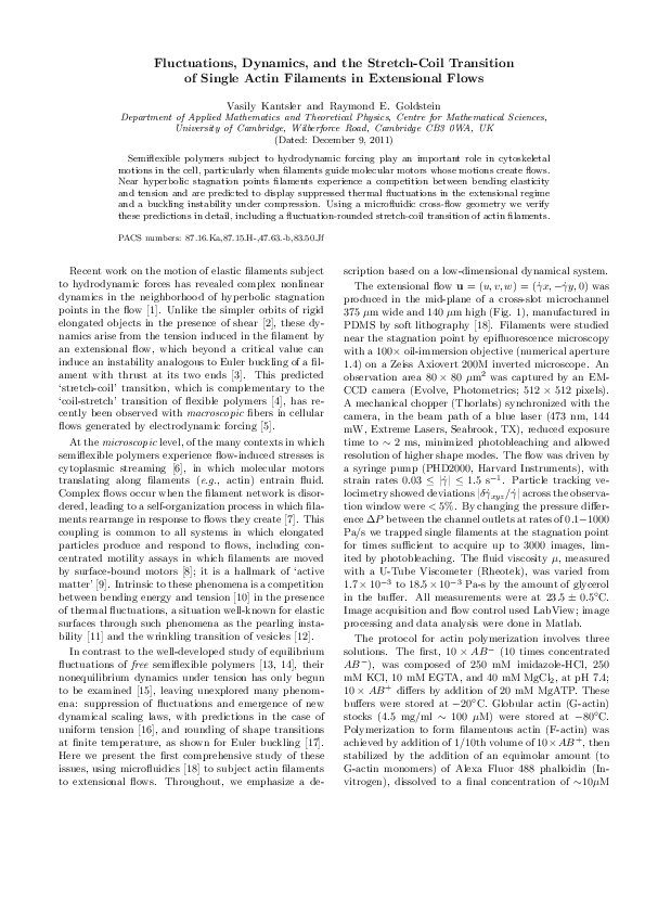 (PDF) V. Kantsler and R. E. Goldstein Fluctuations, Dynamics, and the Stretch-Coil Transition of ...
