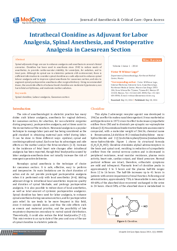 (PDF) Intrathecal Clonidine as Adjuvant for Labor Analgesia, Spinal ...