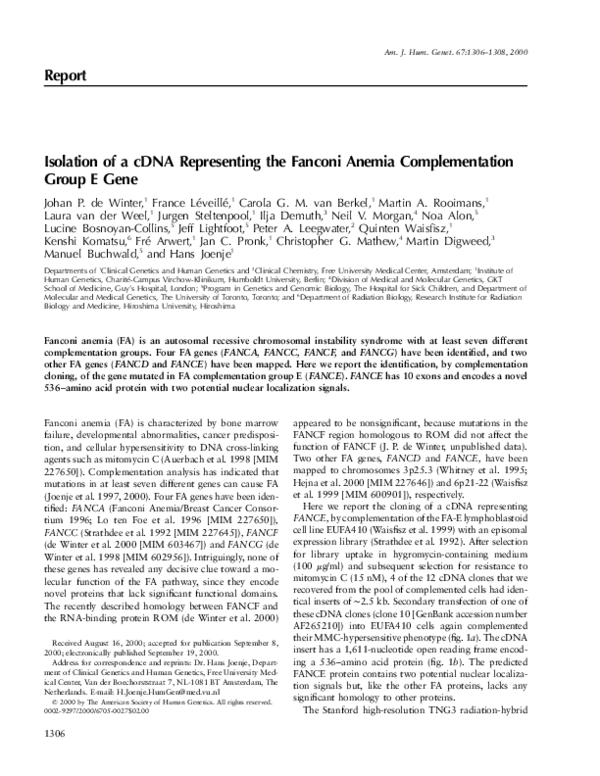 (PDF) Isolation of a cDNA Representing the Fanconi Anemia ...