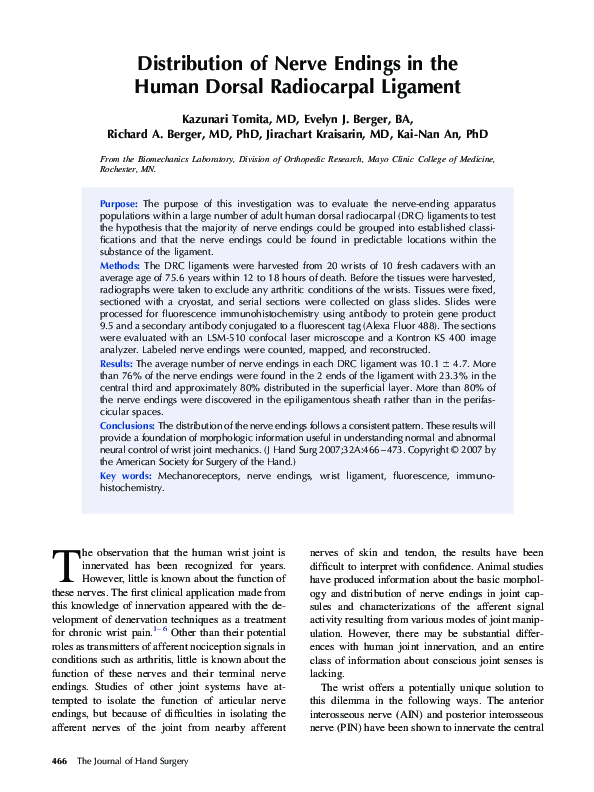 (PDF) Distribution of Nerve Endings in the Human Dorsal Radiocarpal ...