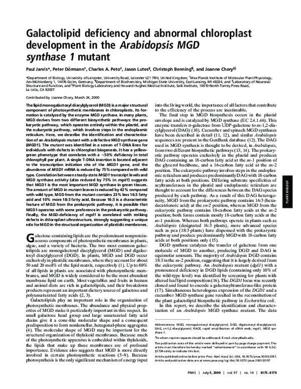 (PDF) Galactolipid deficiency and abnormal chloroplast development in ...