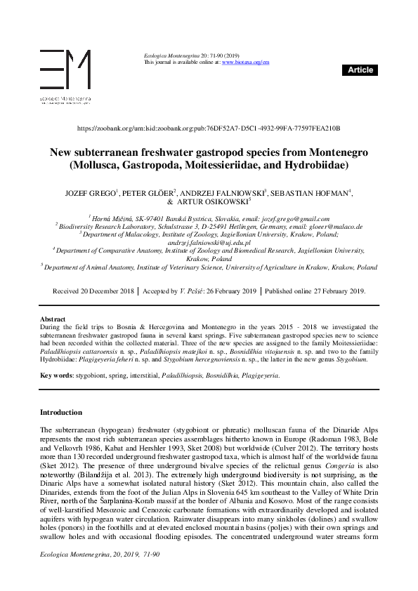 (PDF) New Subterranean Freshwater Gastropod Species from Montenegro (Mollusca, Gastropoda ...