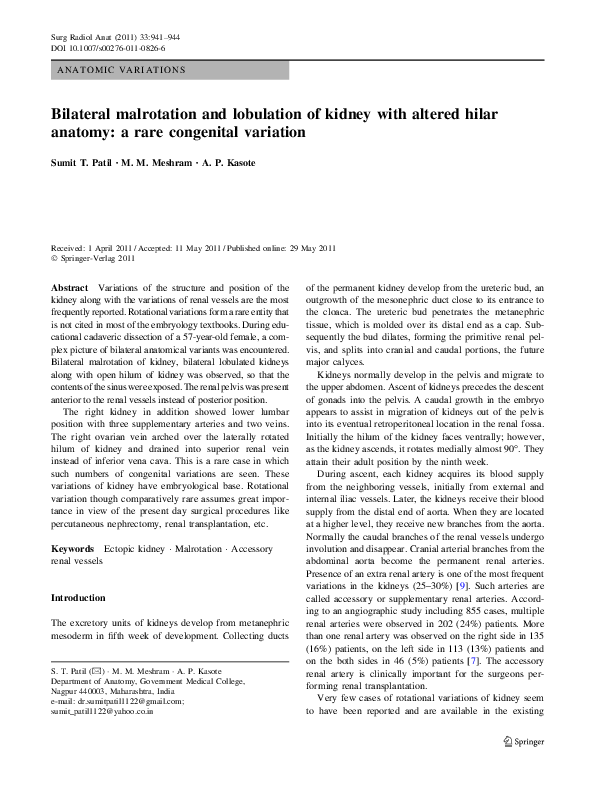 (PDF) Bilateral malrotation and lobulation of kidney with altered hilar ...