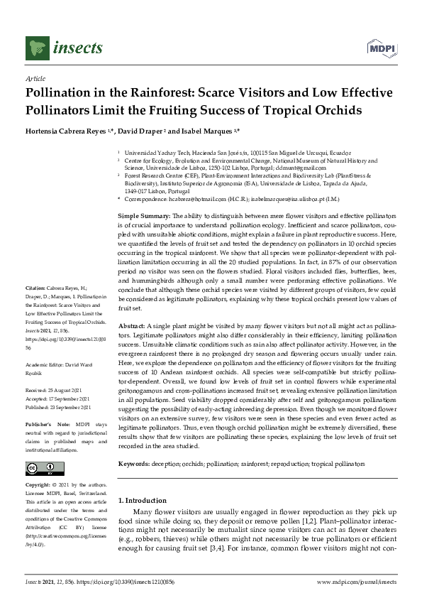 (PDF) Pollination in the Rainforest: Scarce Visitors and Low Effective ...