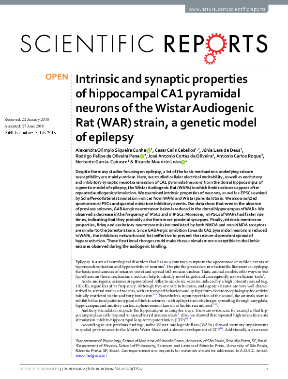 (PDF) Intrinsic and synaptic properties of hippocampal CA1 pyramidal ...