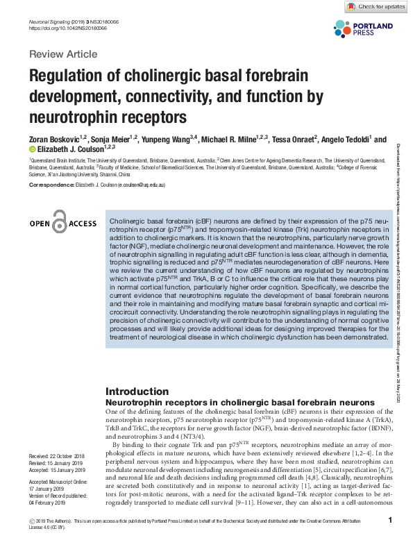 (PDF) Regulation of cholinergic basal forebrain development ...