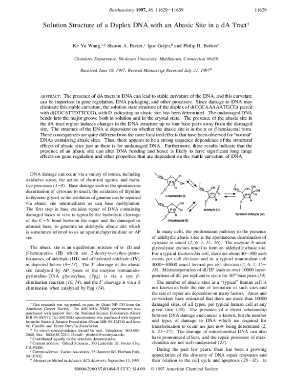 (PDF) Solution Structure of a Duplex DNA with an Abasic Site in a dA ...