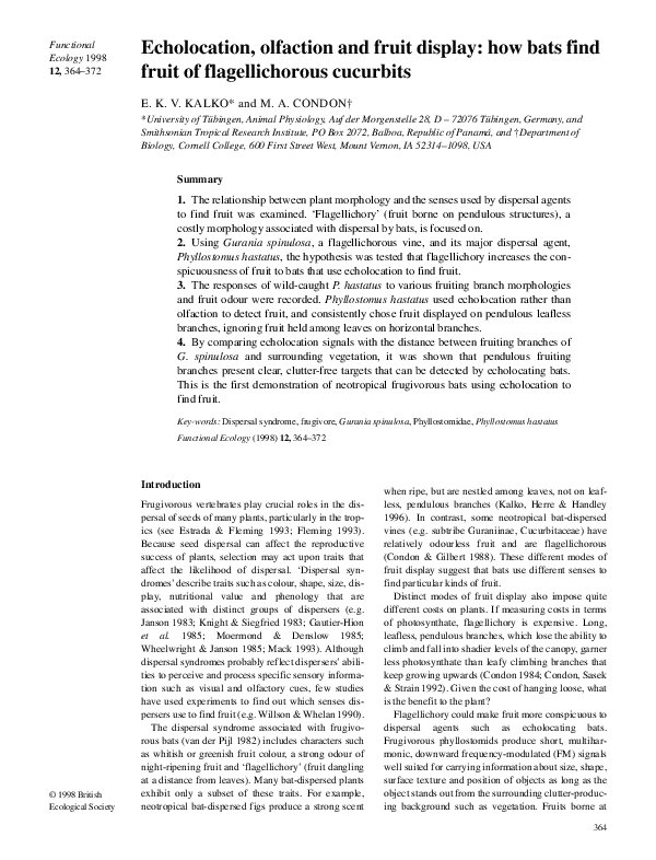 (PDF) Echolocation, olfaction and fruit display: how bats find fruit of ...