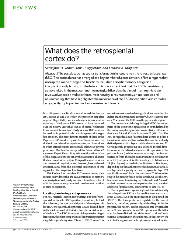 (PDF) What does the retrosplenial cortex do?