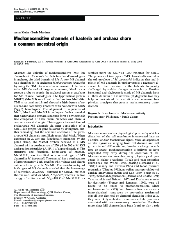(PDF) Mechanosensitive channels of bacteria and archaea share a common ...