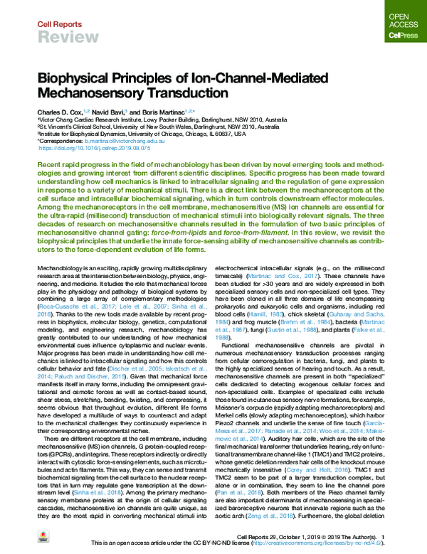 (PDF) Biophysical Principles of Ion-Channel-Mediated Mechanosensory ...