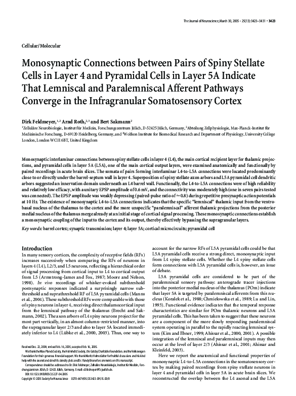 (PDF) Monosynaptic Connections between Pairs of Spiny Stellate Cells in ...