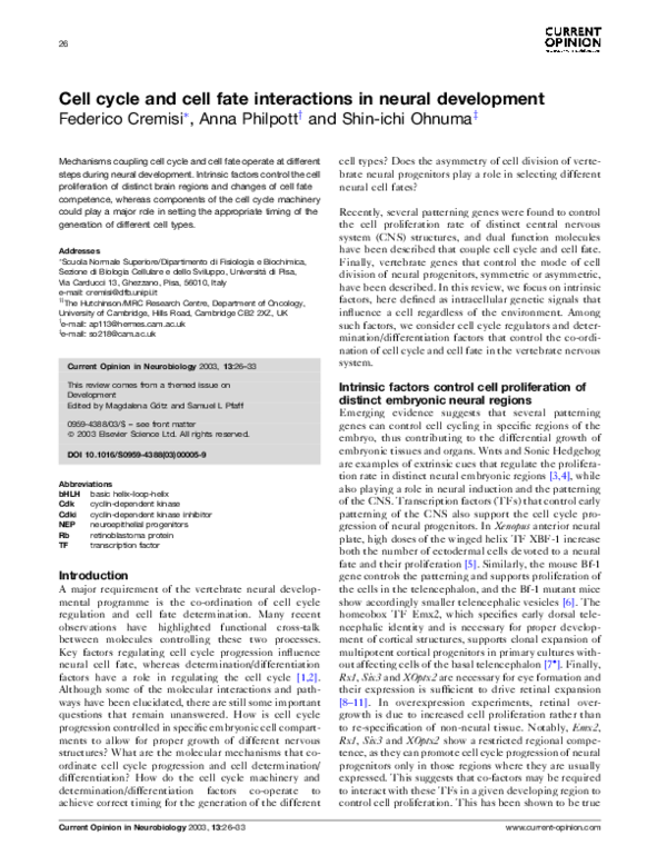 (PDF) Cell cycle and cell fate interactions in neural development
