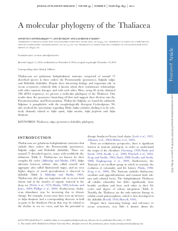(PDF) A molecular phylogeny of the Thaliacea