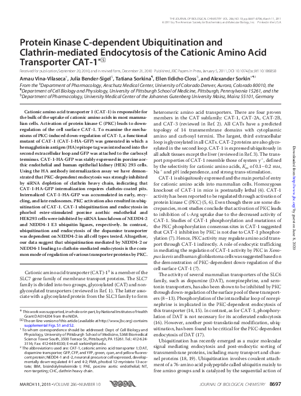 (PDF) Protein Kinase C-dependent Ubiquitination and Clathrin-mediated Endocytosis of the ...