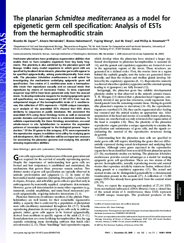 (PDF) The planarian Schmidtea mediterranea as a model for epigenetic ...