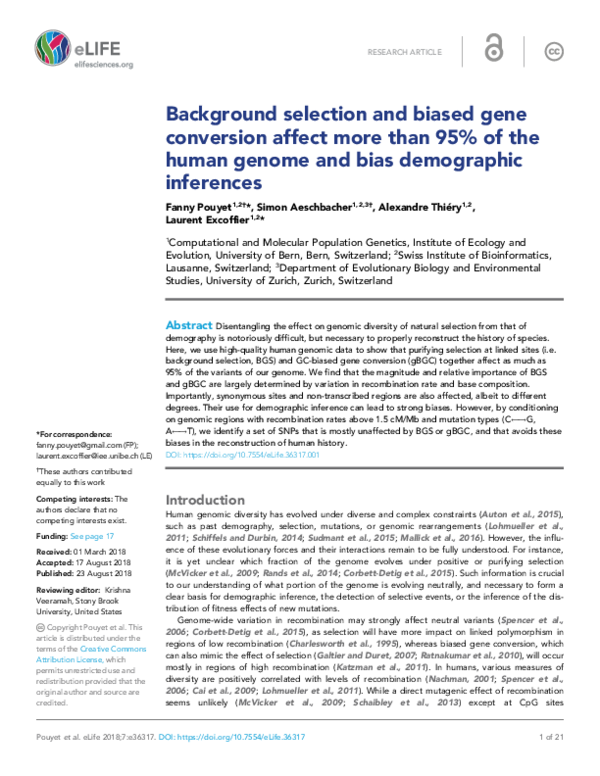 (PDF) Background selection and biased gene conversion affect more than ...