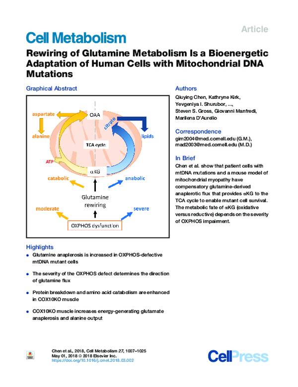 (PDF) Rewiring of Glutamine Metabolism Is a Bioenergetic Adaptation of ...