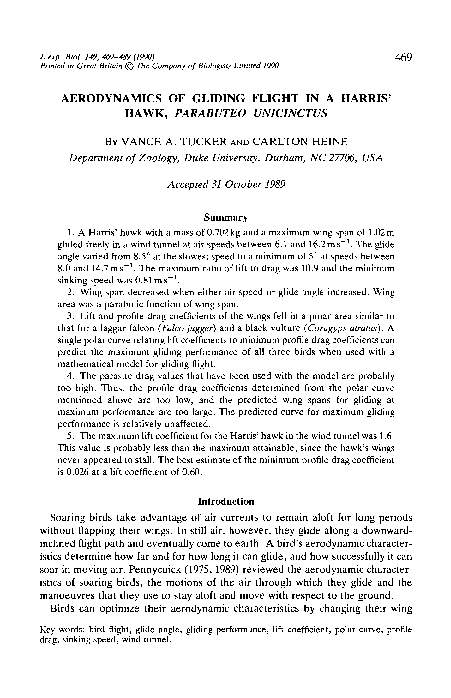 (PDF) Aerodynamics of Gliding Flight in a Harris' Hawk, Parabuteo ...