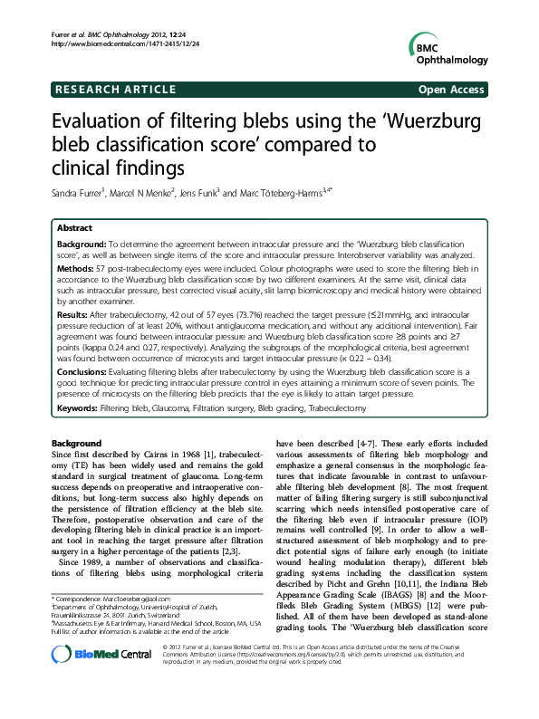 (PDF) Evaluation of filtering blebs using the ‘Wuerzburg bleb ...