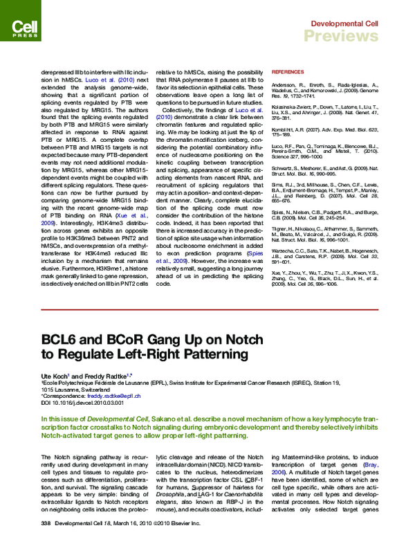 (PDF) BCL6 and BCoR Gang Up on Notch to Regulate Left-Right Patterning