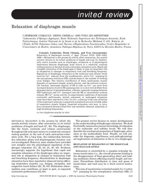(PDF) Relaxation of diaphragm muscle