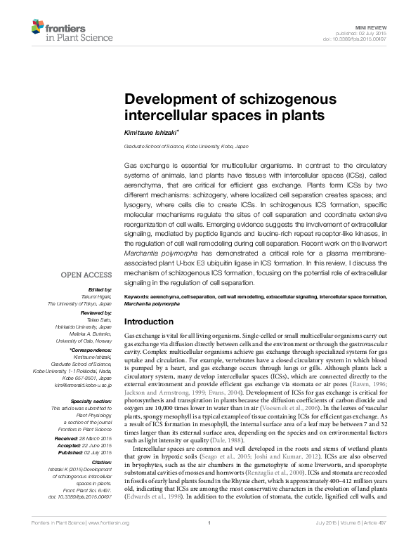 (PDF) Development of schizogenous intercellular spaces in plants