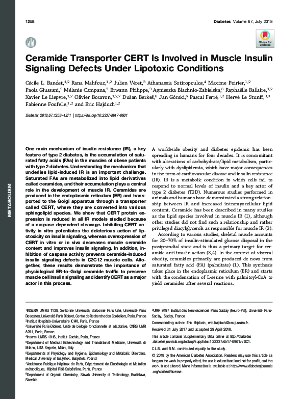 (PDF) The Ceramide Transporter CERT is Involved in Muscle Insulin ...