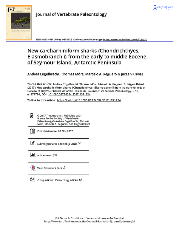 (PDF) New Carcharhiniform Sharks (Chondrichthyes, Elasmobranchii) from ...