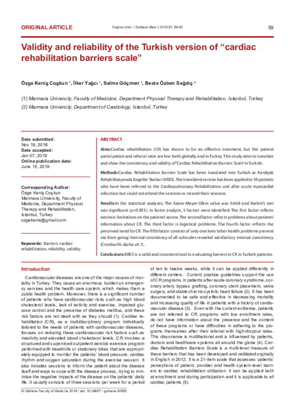 (PDF) Validity and reliability of the Turkish version of the Recovery ...
