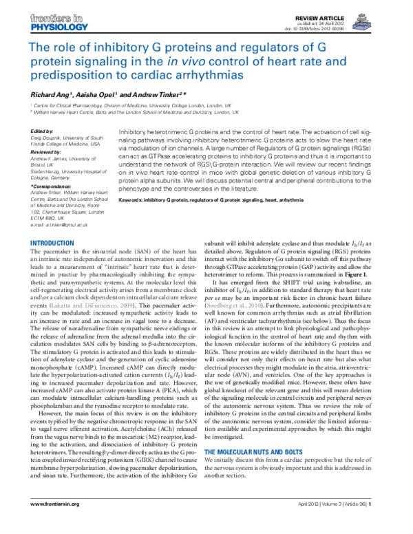 (PDF) The Role of Inhibitory G Proteins and Regulators of G Protein ...