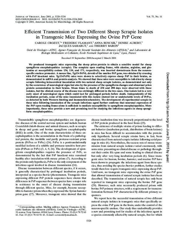 (PDF) Efficient Transmission of Two Different Sheep Scrapie Isolates in ...