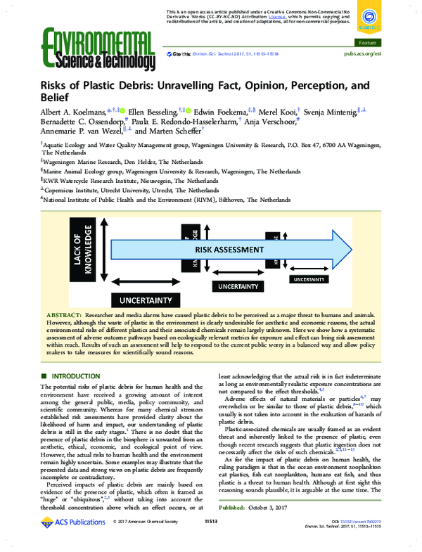 (PDF) Risks of Plastic Debris: Unravelling Fact, Opinion, Perception ...