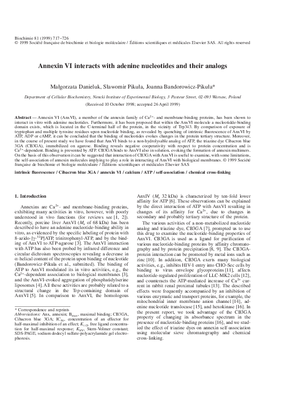 (PDF) Annexin VI interacts with adenine nucleotides and their analogs