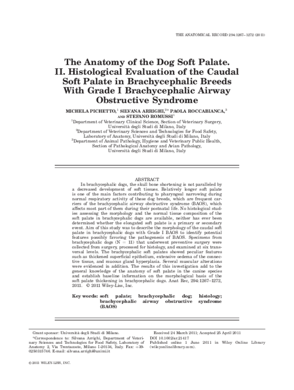 (PDF) The Anatomy of the Dog Soft Palate. II. Histological Evaluation ...