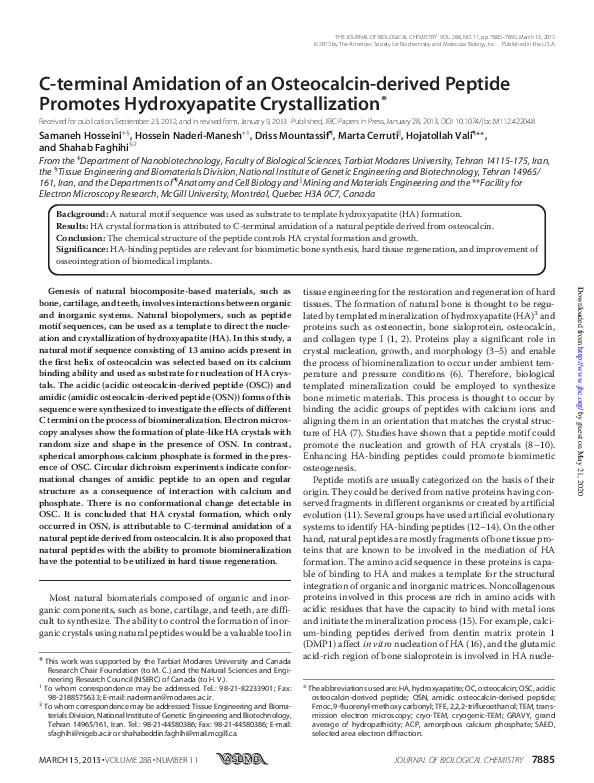 (PDF) C-terminal Amidation Enhances Osteocalcin Peptide for HA Crystals