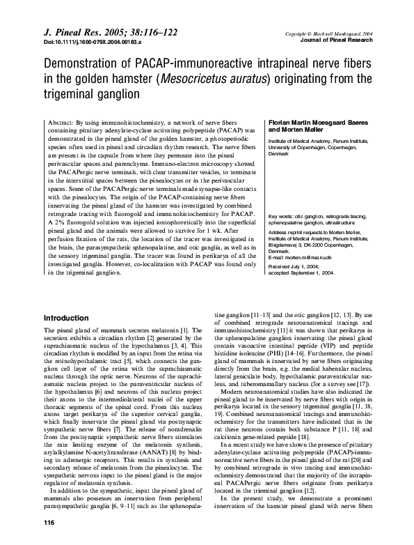 (PDF) Demonstration of PACAP-immunoreactive intrapineal nerve fibers in ...